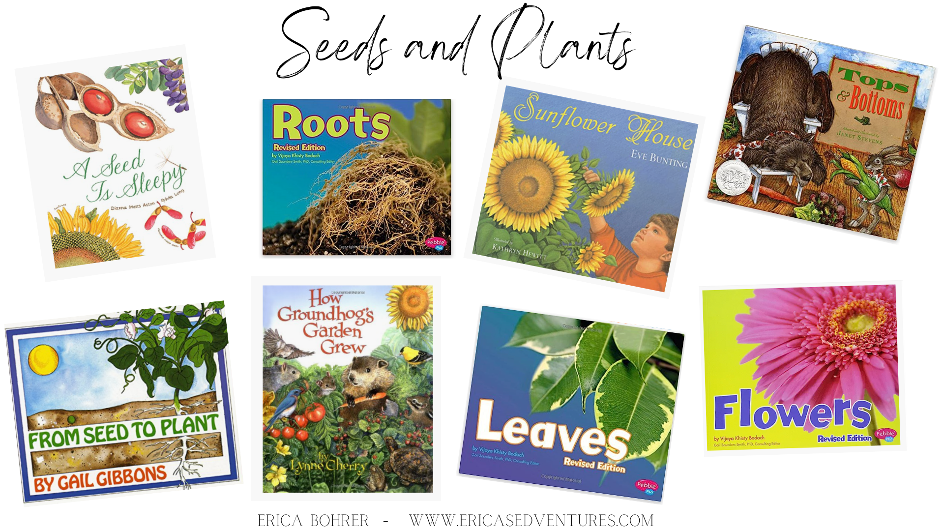 Plants – Classroom Ideas, Book Picks, and More!
