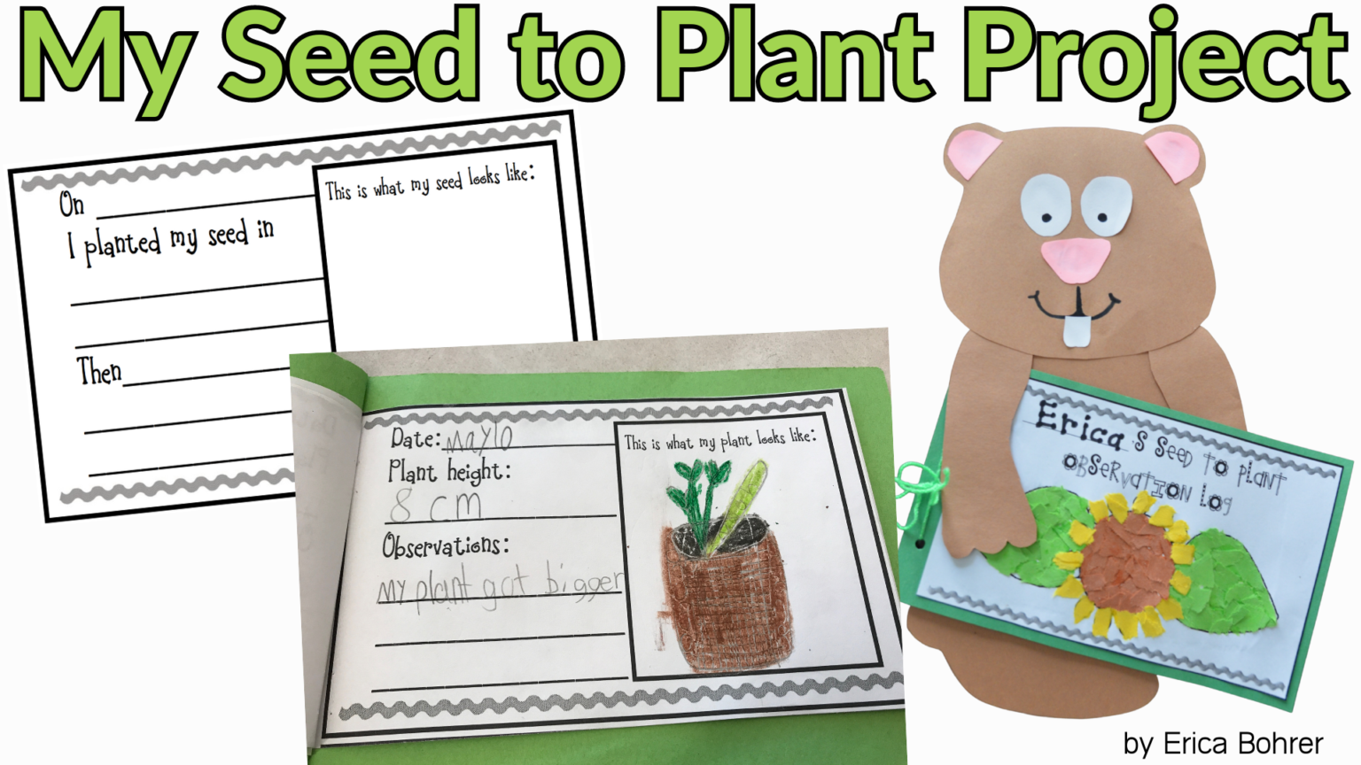 Plants – Classroom Ideas, Book Picks, and More!