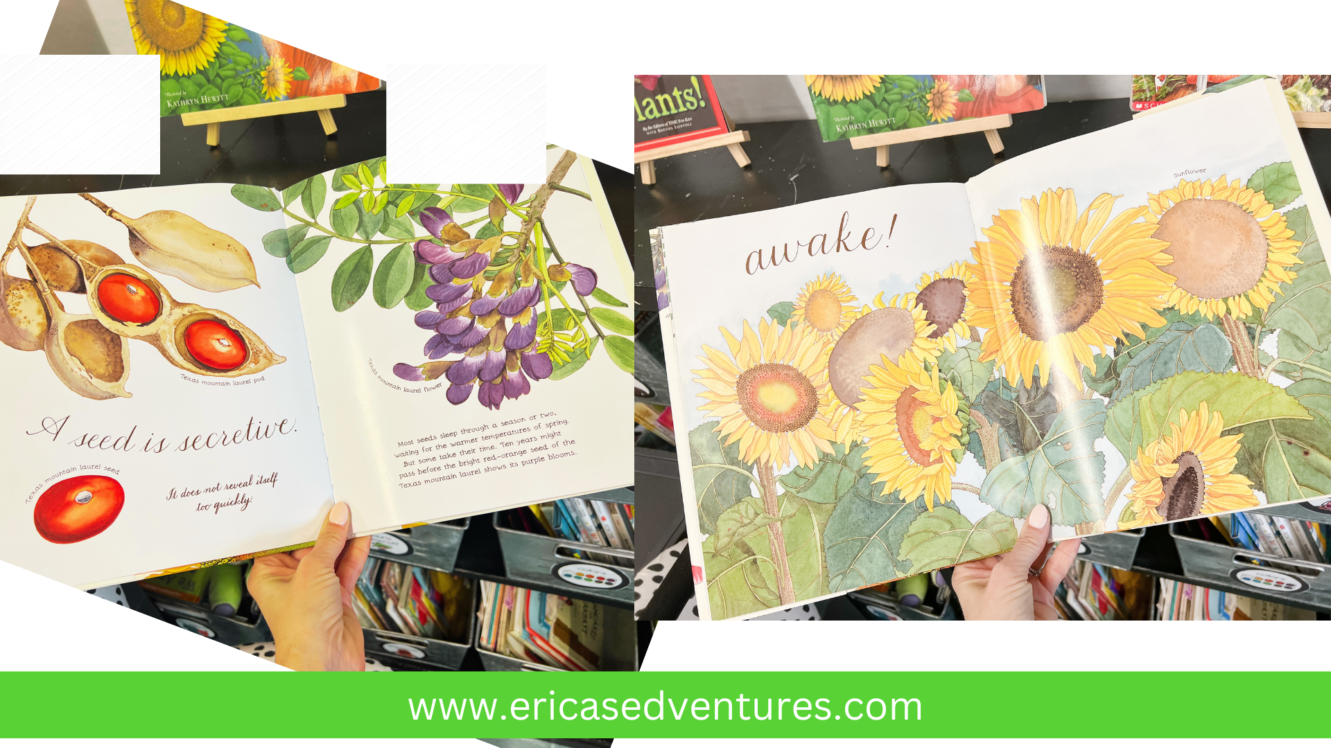 Plants – Classroom Ideas, Book Picks, and More!