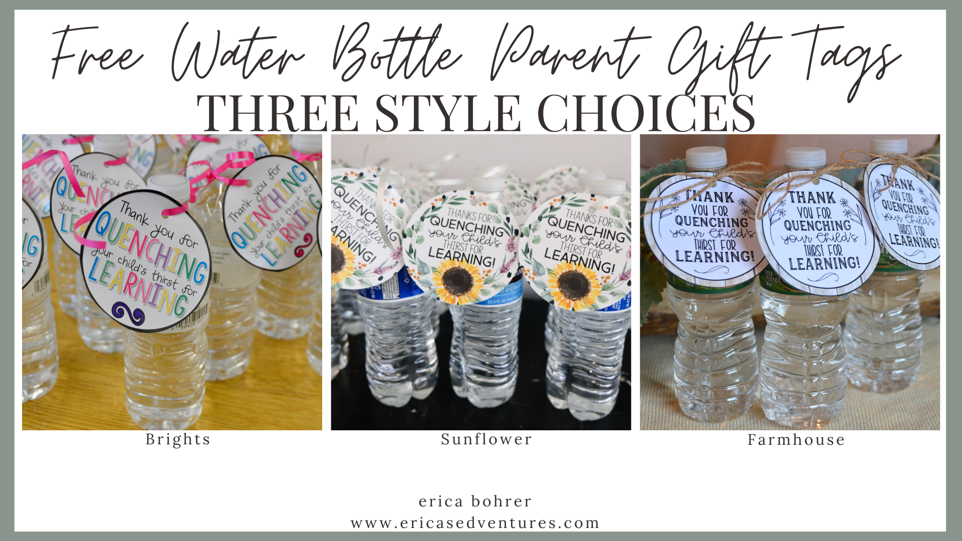 Meet the Teacher Night Ideas, Freebies, and More!